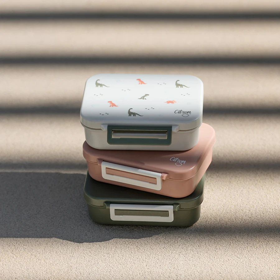 Lunchbox Mini & Snack Boxes for Kids | Leakproof & BPA-Free – Citron ...